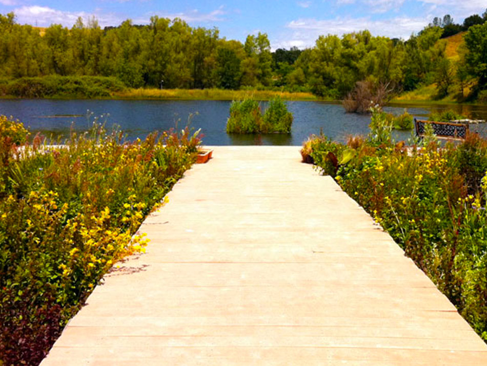 Floating Islands West BioHaven floating wetland island | Floating islands