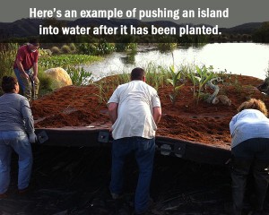 Floating Islands West | DIY Floating Island