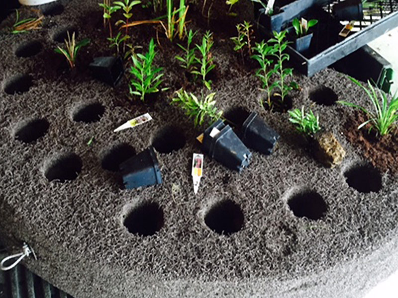 Floating Islands West | DIY Floating Island