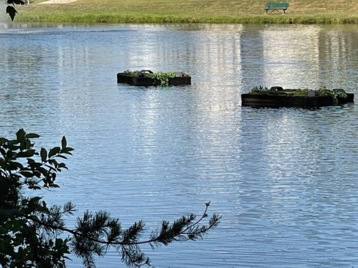 Floating Islands West | How to Build a Turtle Island and Stop Algae
